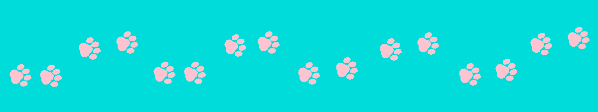 Events | Cats Anonymous, Inc